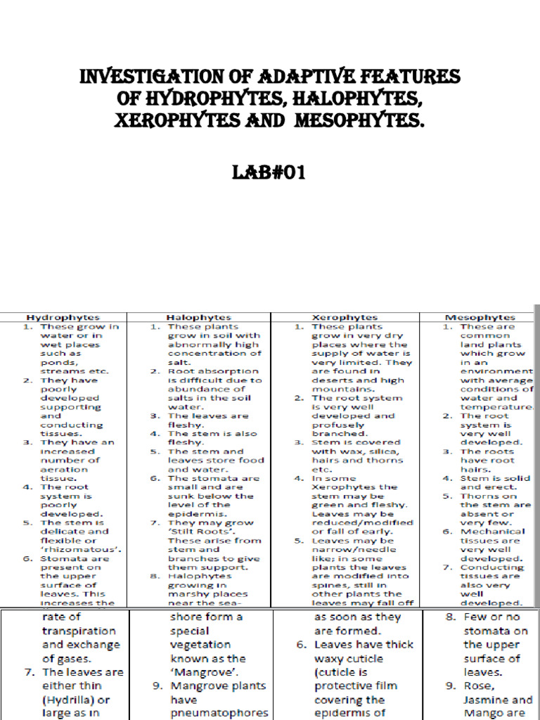 Investigation of Adaptive Features of Hydrophytes, Halophytes | PDF