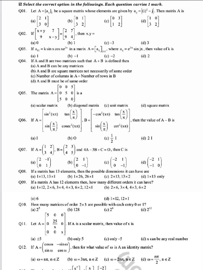 Xii Maths SVHW | PDF