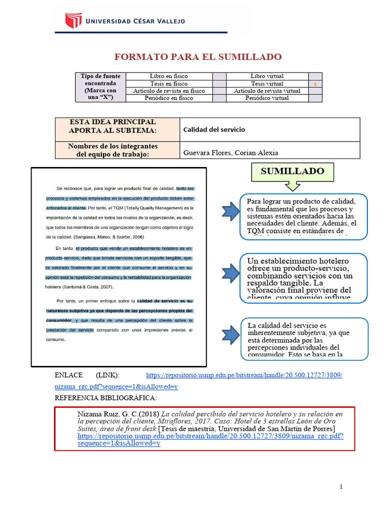 Formato para Sumillado | PDF | Calidad (comercial) | Marketing