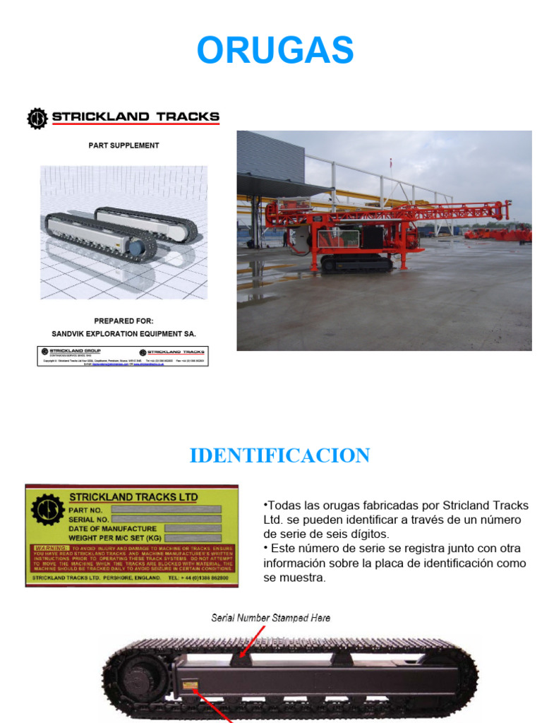 Orugas | PDF | Engranaje
