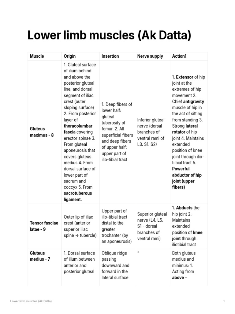 Lower_limb_muscles_(Ak_Datta) | PDF | Human Leg | Foot