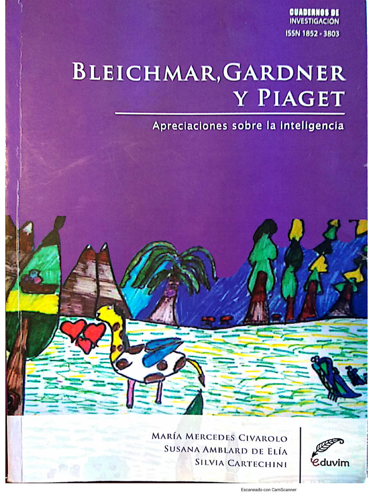 Bleichmar Gardner y Piaget. Cap. 3 | PDF