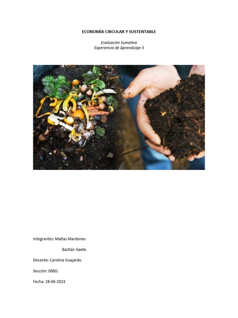 Ec Final | PDF | Vertedero | Residuos