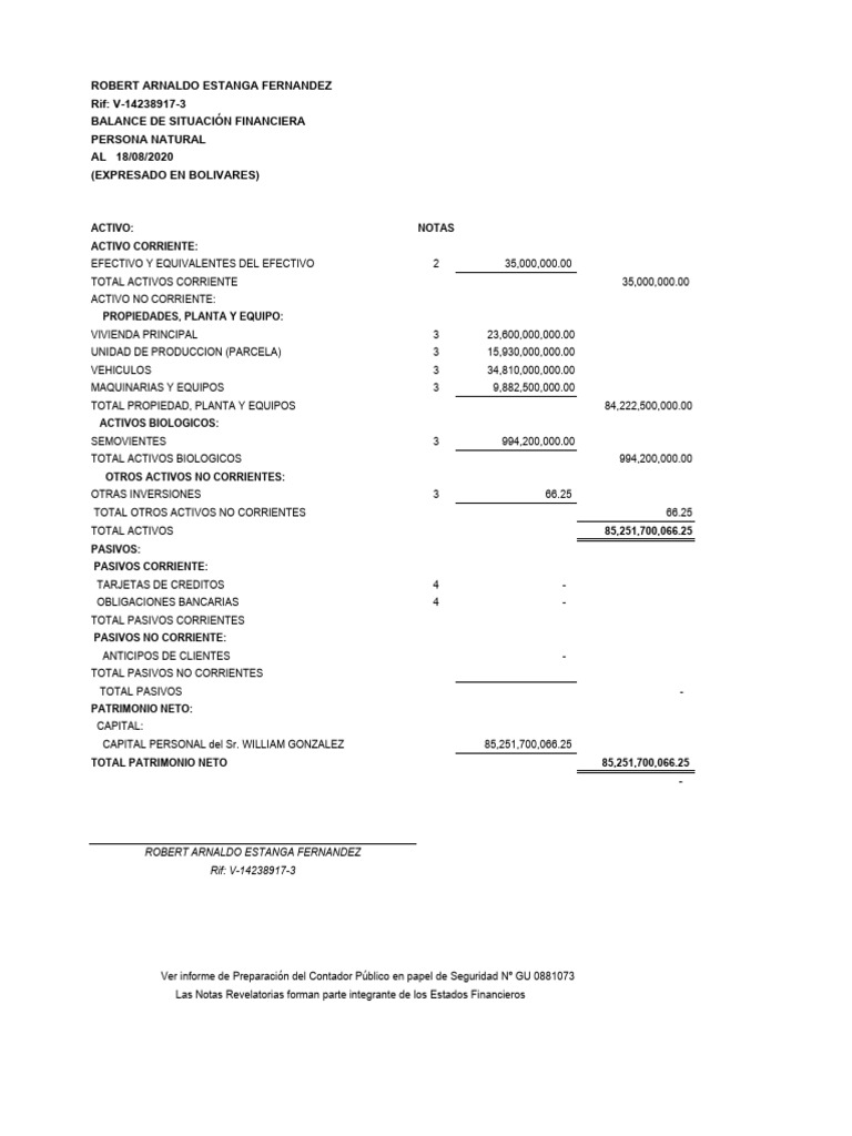 Balance Financiero Persona Natural 2020 | PDF | Contabilidad | Estado ...
