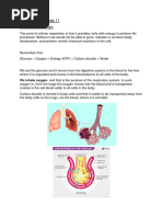 Life Sciences Gr.11 Lesson 35 Gaseous Exchange (Human Gas Exchange, Structure and Location) | PDF