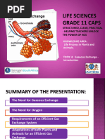 Taxonomy Foldable | PDF | Taxonomy (Biology) | Cell (Biology)