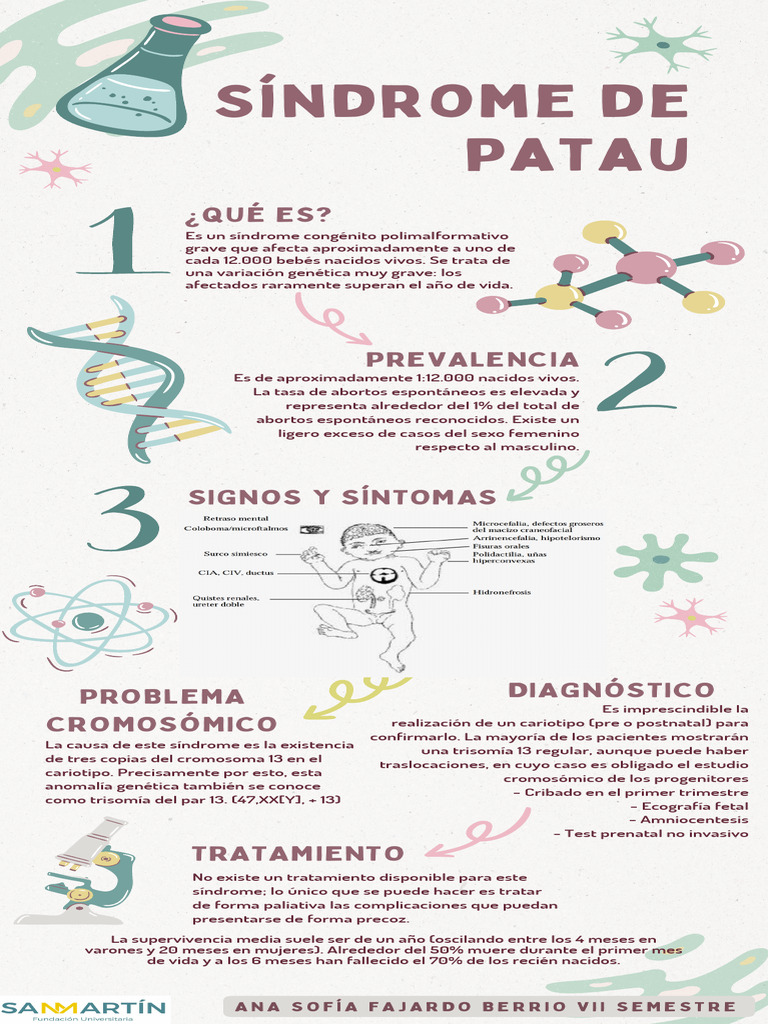 Síndrome de Patau: Diagnóstico y Pronóstico | PDF | Medicina | Causas ...