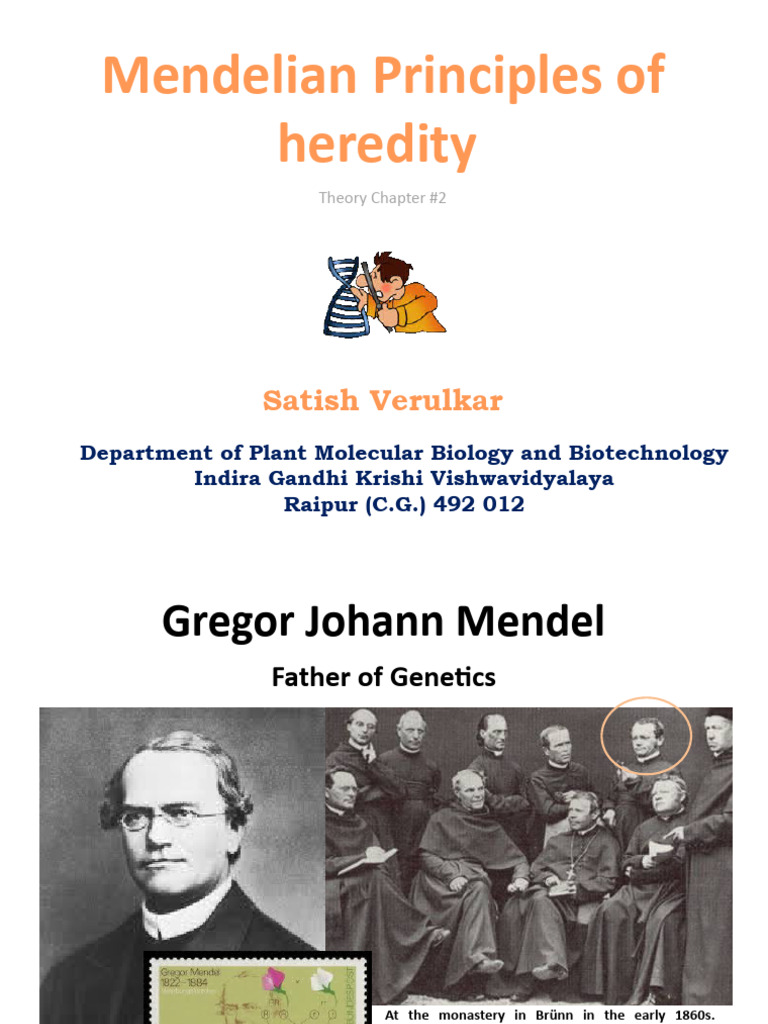 Mendelian Principles of Heredity | PDF | Zygosity | Dominance (Genetics)