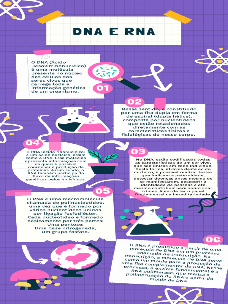 Purple Doodle Creative Scientific Method Infographic - 20240625 ...