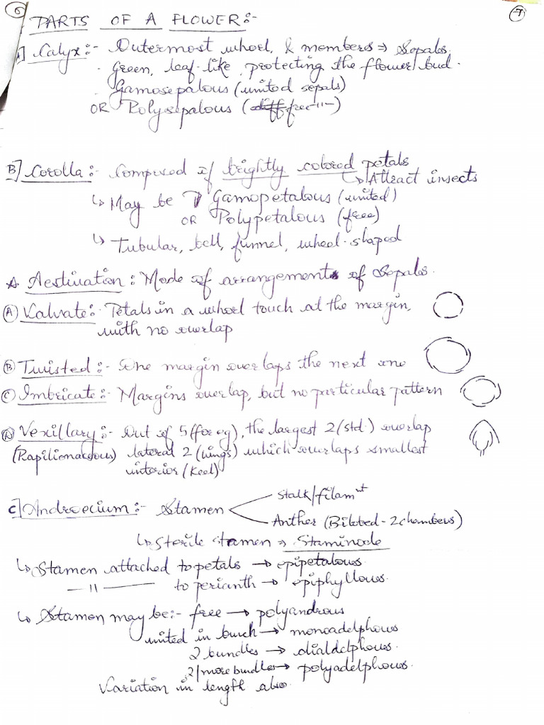Morphology and Anatomy of Flowers | PDF | Plant Reproduction | Branches ...