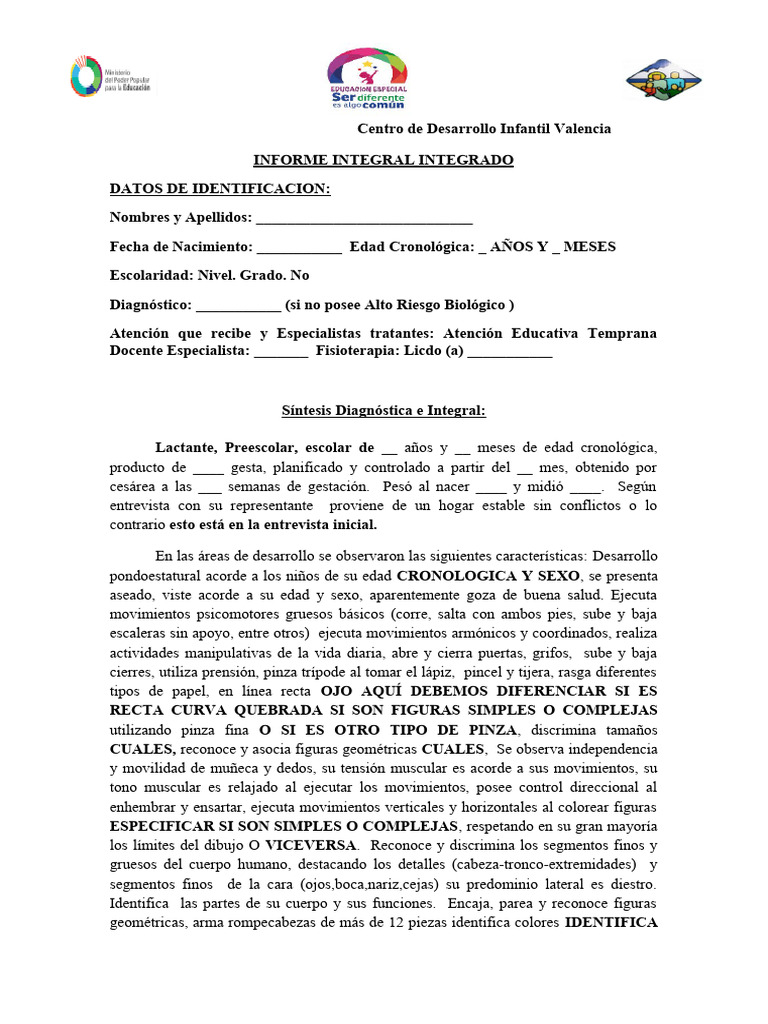 Modelo de Informe Cdi | PDF