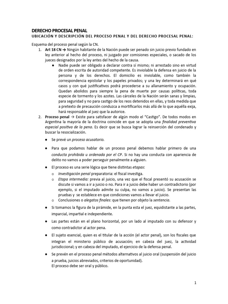 Resumen Cami | PDF | Victimologia | Debido al proceso