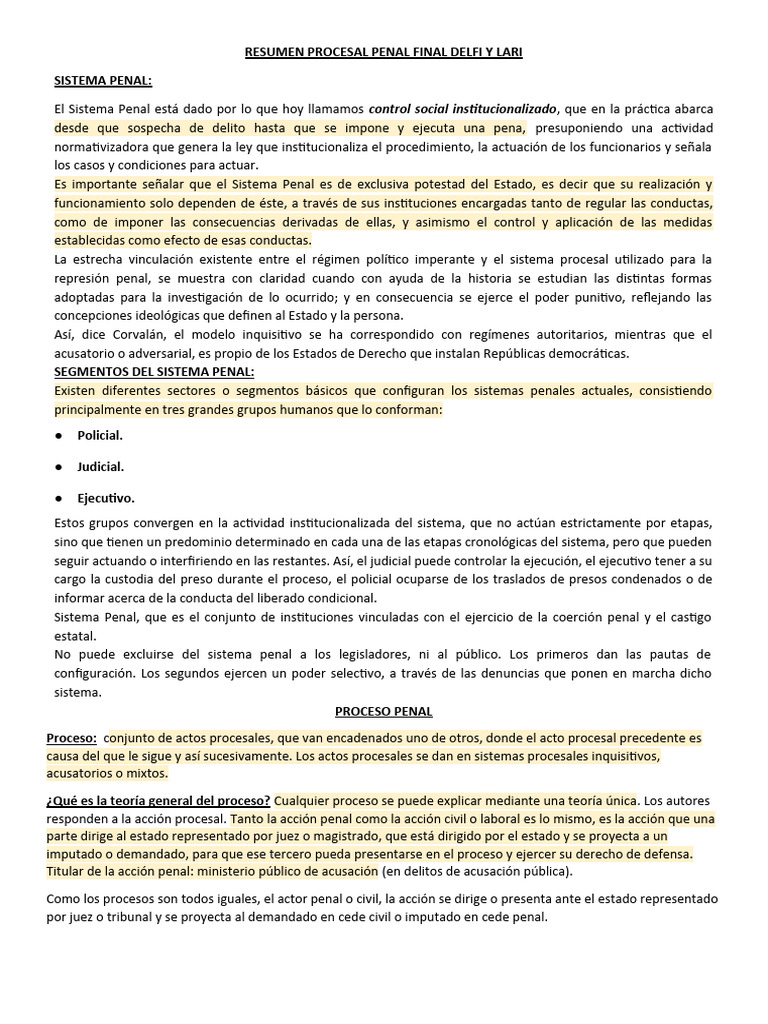 Resumen Delfi C Modif | PDF | Debido al proceso | Fiscal