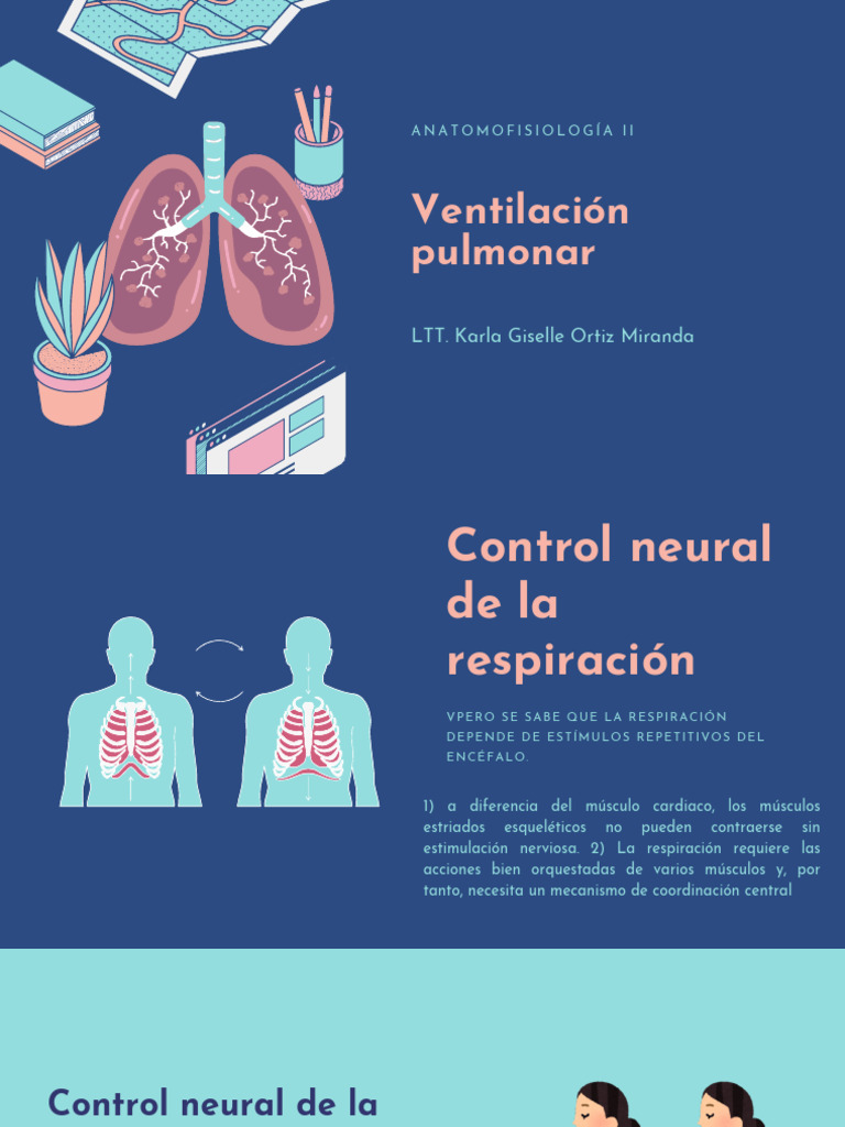 Ventilación Pulmonar | PDF | Sistema respiratorio | Pulmón