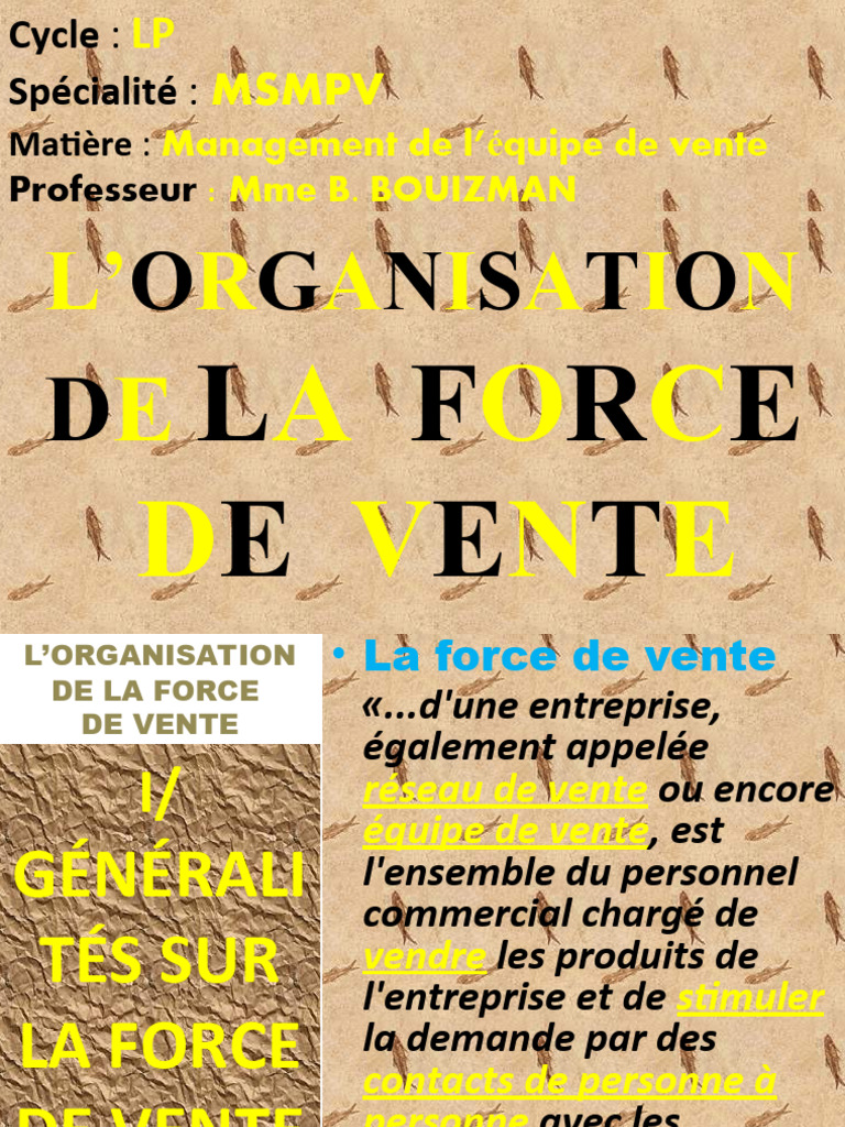 Présentation Force de Vente-Lp | PDF | Sodles | Business Présentation Force de Vente-Lp | PDF | Sodles | Business