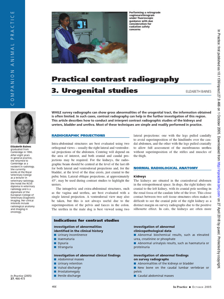 Contrast Studies-Urinary | PDF | Kidney | Urinary System