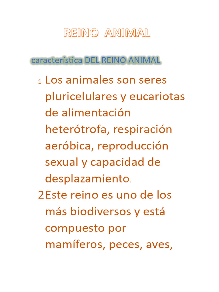 Reino Animal | PDF