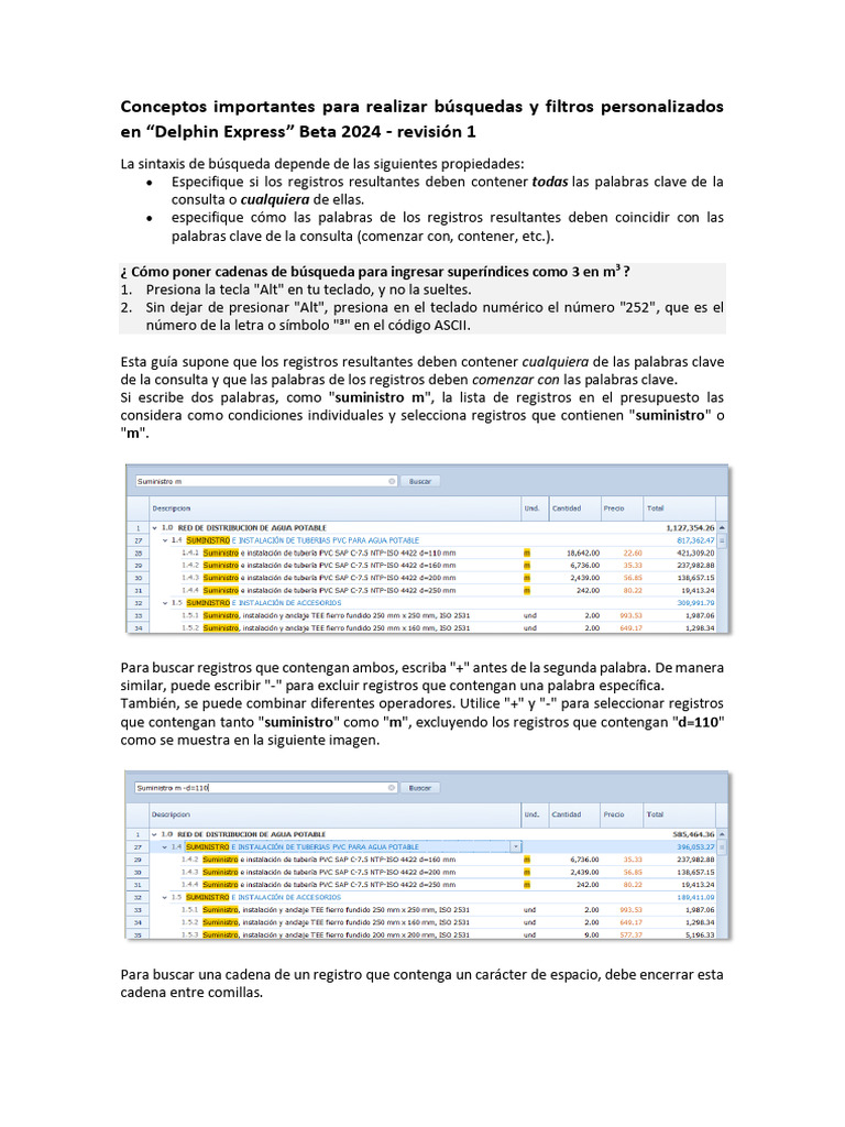 Conceptos Básicos Del Panel de Búsqueda en Delphin Express Beta 2024 Revisión 1 | PDF