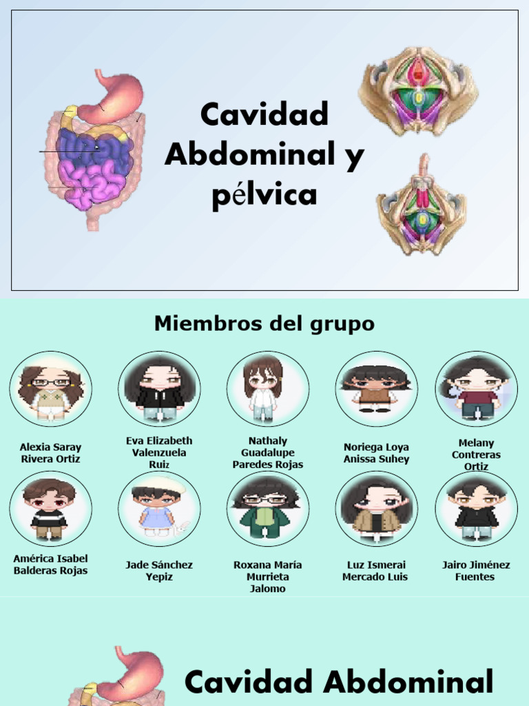 Anatomía de Cavidad Abdominal y Pélvica | PDF | Abdomen | Pelvis