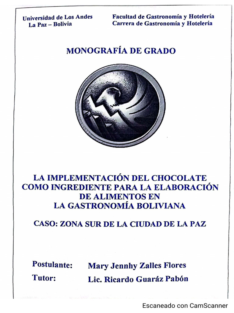Monografía Datos | PDF