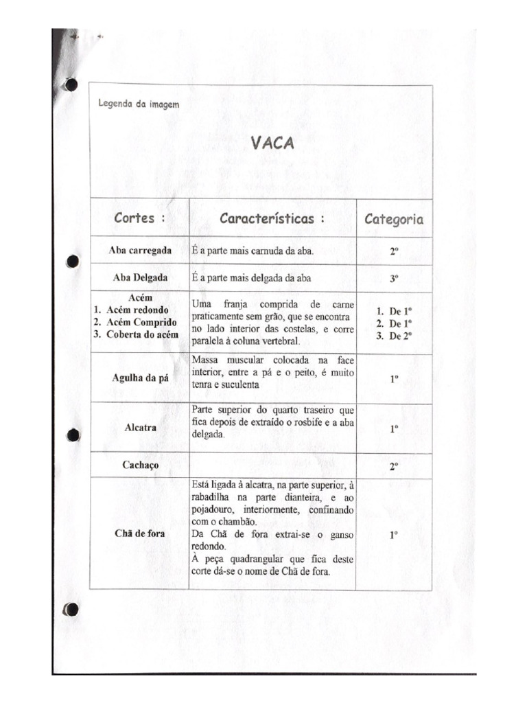 Vaca | PDF