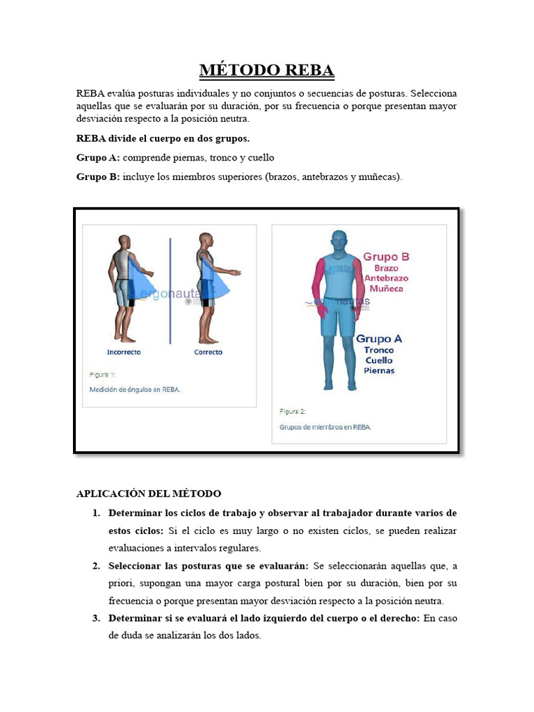 Método Reba | PDF | Ciencia y matemáticas