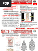 Incisiones Quirúrgicas | PDF | Abdomen | Anatomía