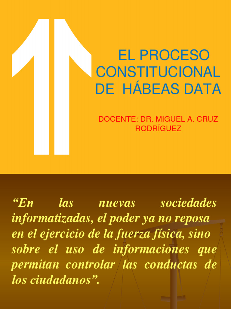 El Proceso de Habeas Data | PDF | Demanda judicial | Privacidad