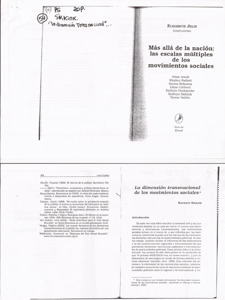 Sikkink - La Dimensión Trasnacional de Los Movimientos Sociales | PDF