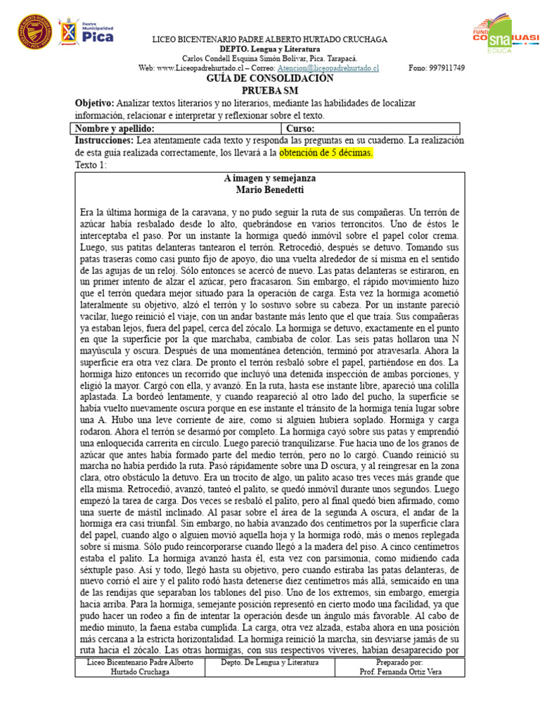Guía Consolidación Prueba SM | PDF | Invalidez