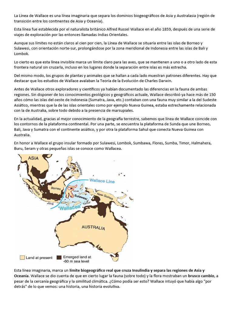 La Línea de Wallace: Frontera Biogeográfica | PDF | Ciencias de la Tierra