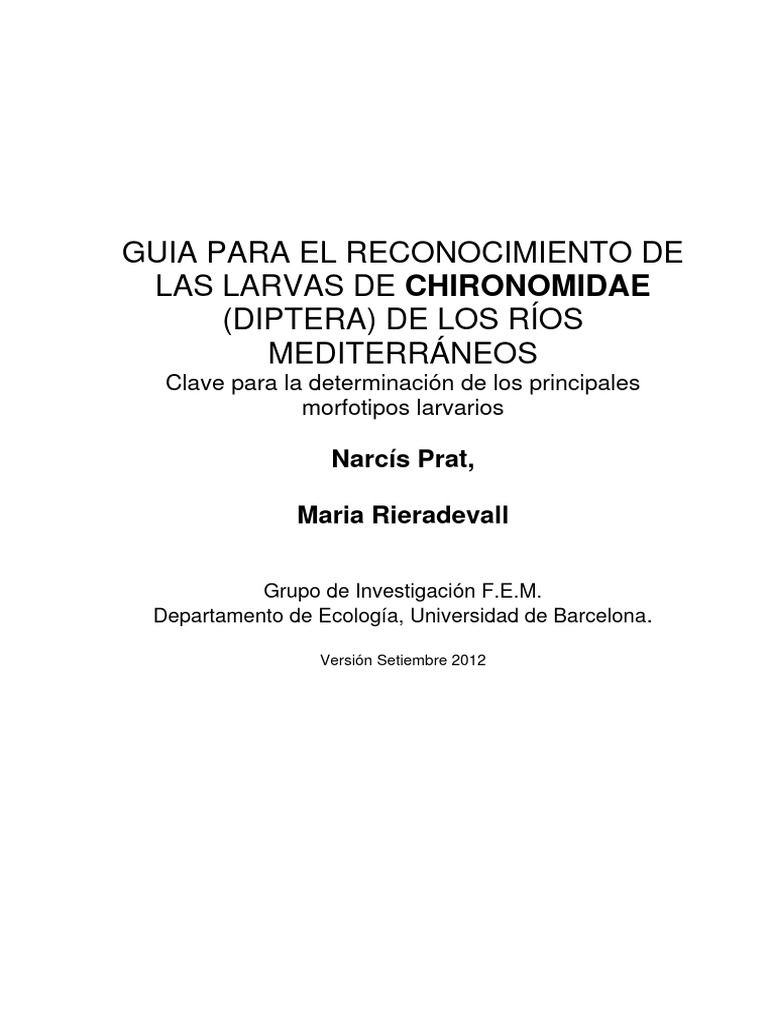 Macrolarvas Quir v4 | PDF | Color