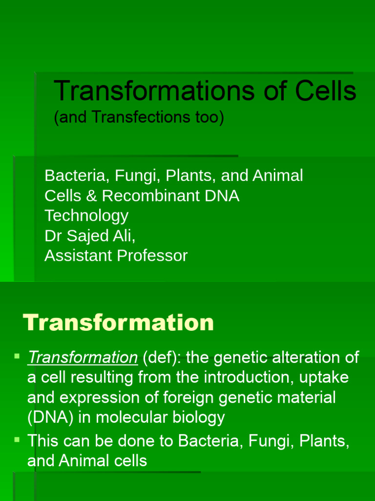 Transformations of Cells | PDF | Transformation (Genetics) | Plasmid