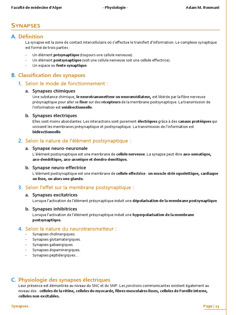 Comprendre les synapses en physiologie | PDF | Synapse | Acétylcholine