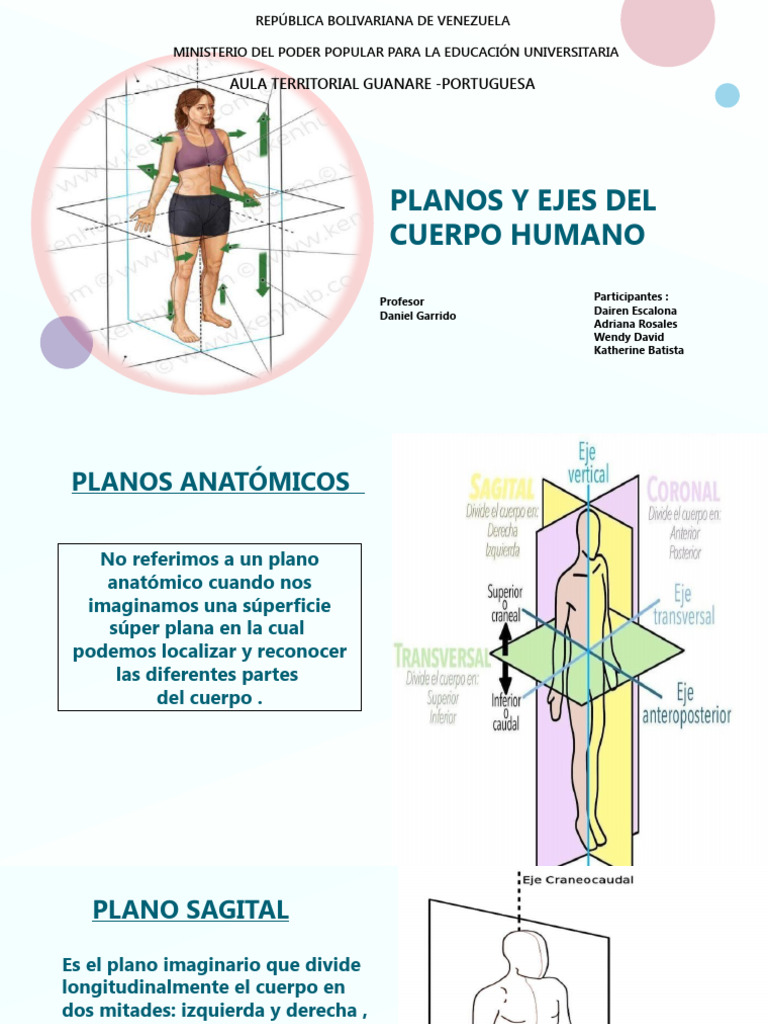 Planos y Ejes. | Descargar gratis PDF | Términos anatómicos de ubicación
