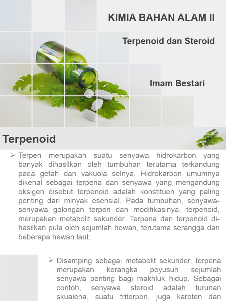 Terpenoid Dan Steroid | PDF