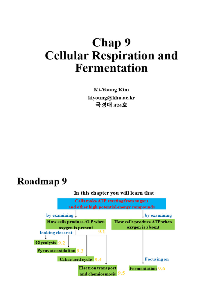 Week10 Ch9 | PDF | Cellular Respiration | Adenosine Triphosphate