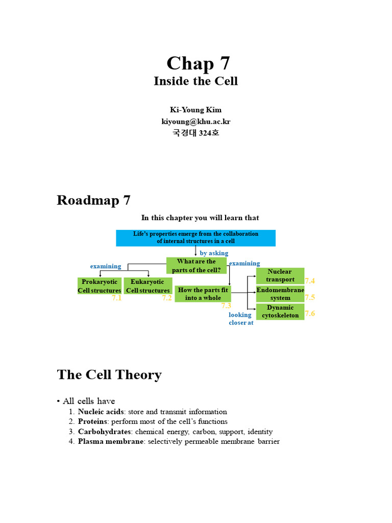 Week7 Ch7 | PDF | Endoplasmic Reticulum | Cell (Biology)