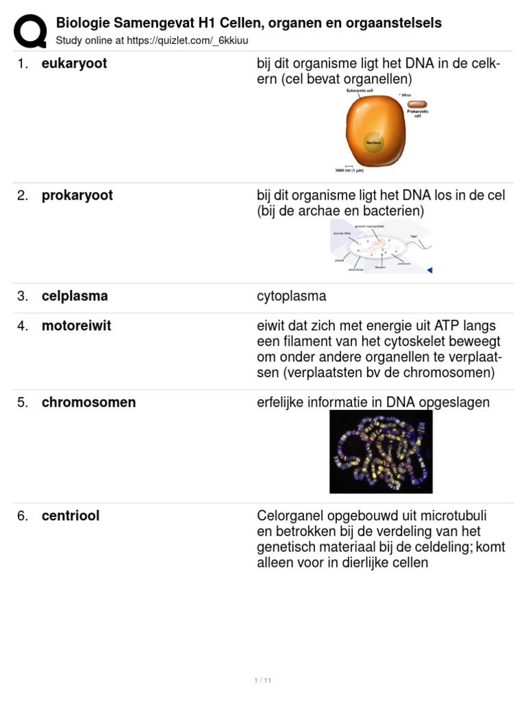 Biologie Samengevat H1 Cellen, Organen en Orgaanstelsels | PDF