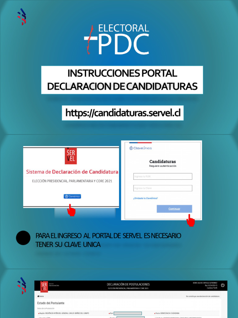 Instructivo Candidaturas 2021 | PDF | Gobierno