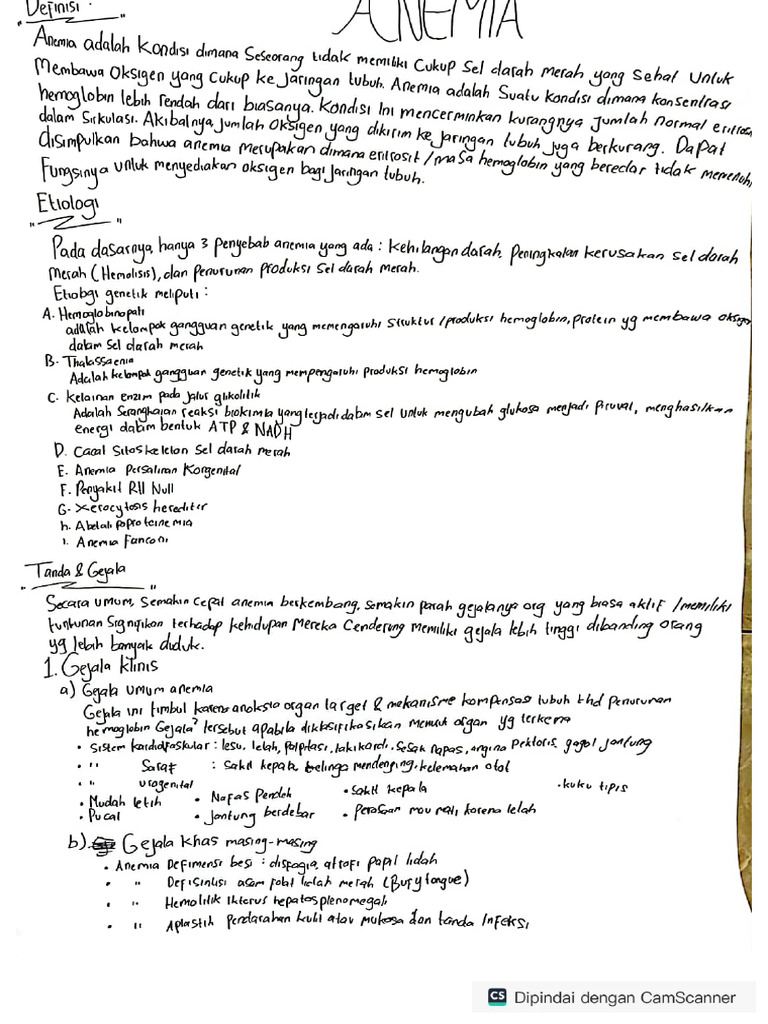 302022081_CitraSalma_2B | PDF