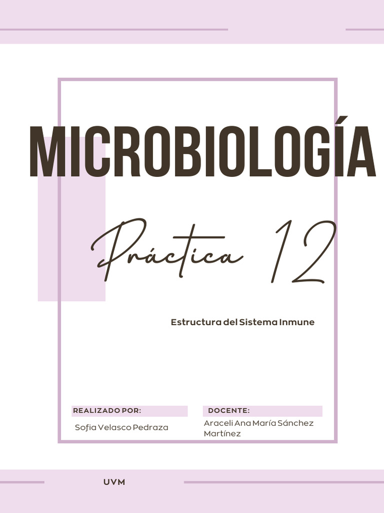 Práctica 12 Micro Estructura Del Sistema Inmune | PDF | Sistema inmune | Sistema inmune innato