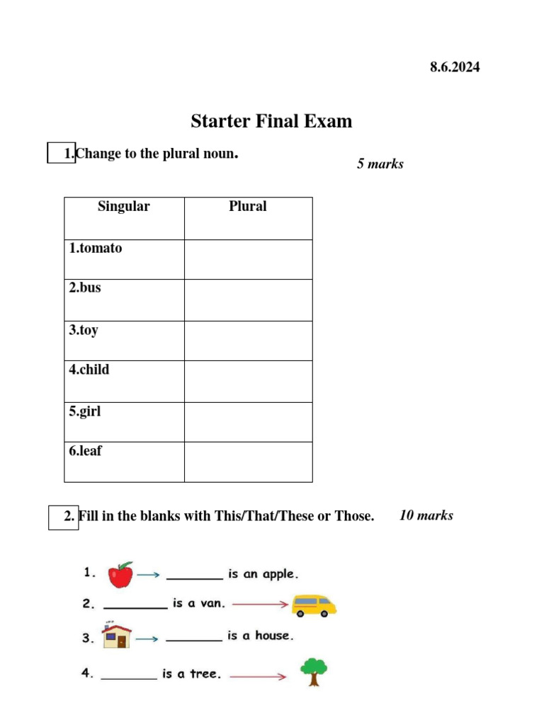 Starter Level-1 Final Exam | PDF