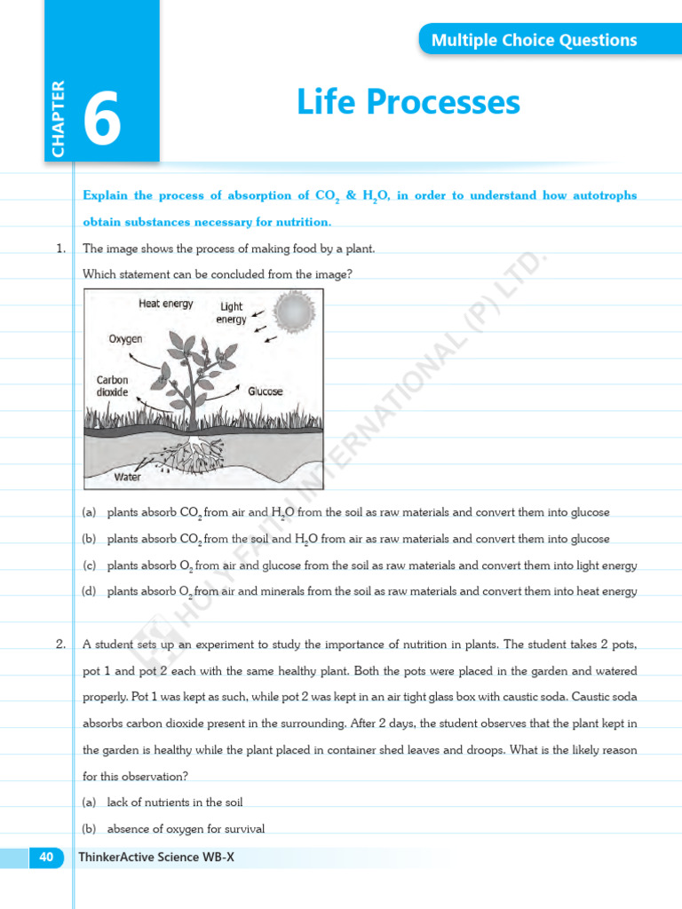 Grade x Ta Cbq Life Processes | PDF | Digestion | Heart