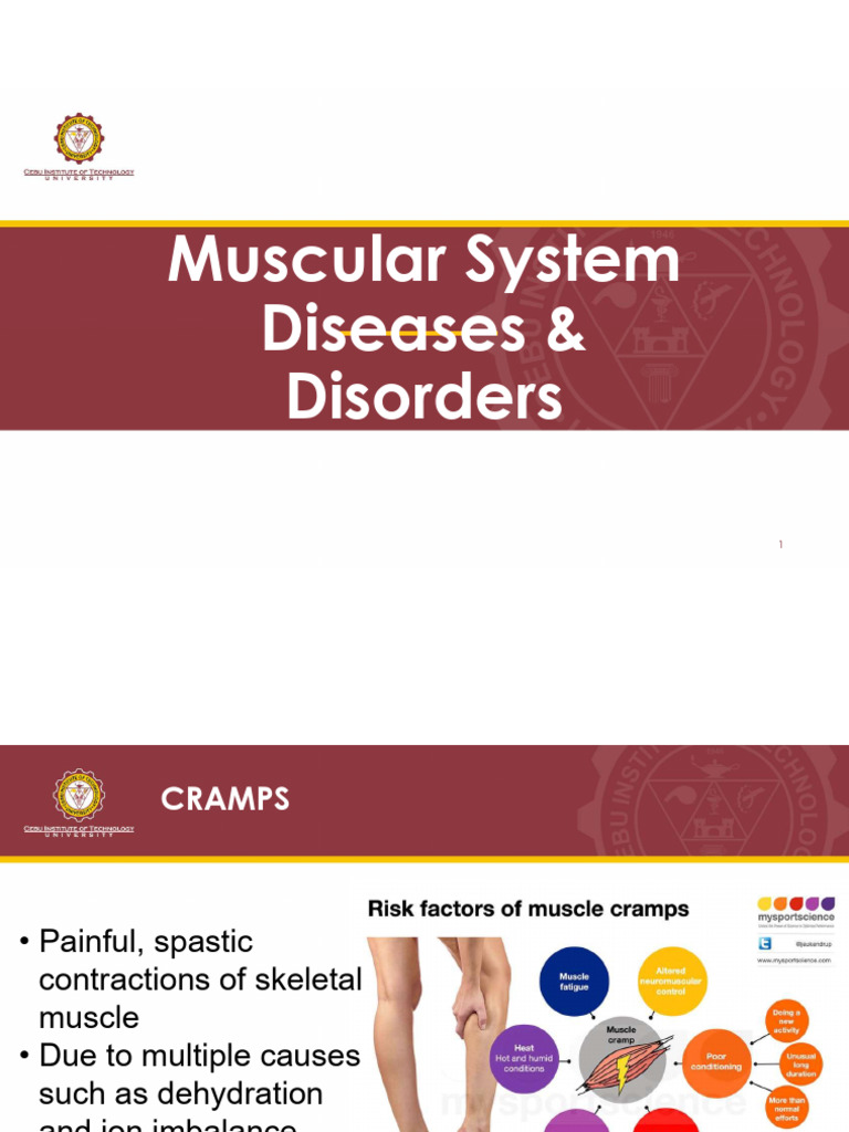 Representative Diseases and Disorders of The Muscular System | PDF ...