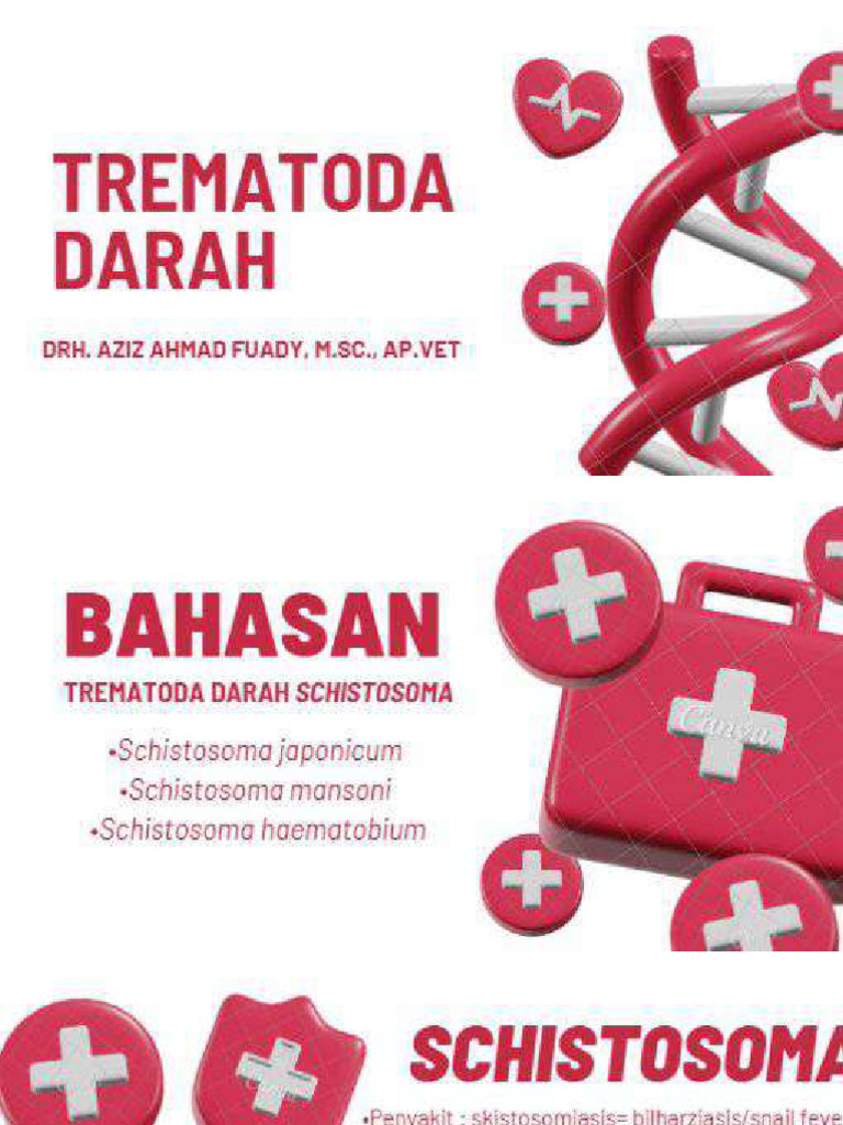 Trematoda Darah 1 | PDF