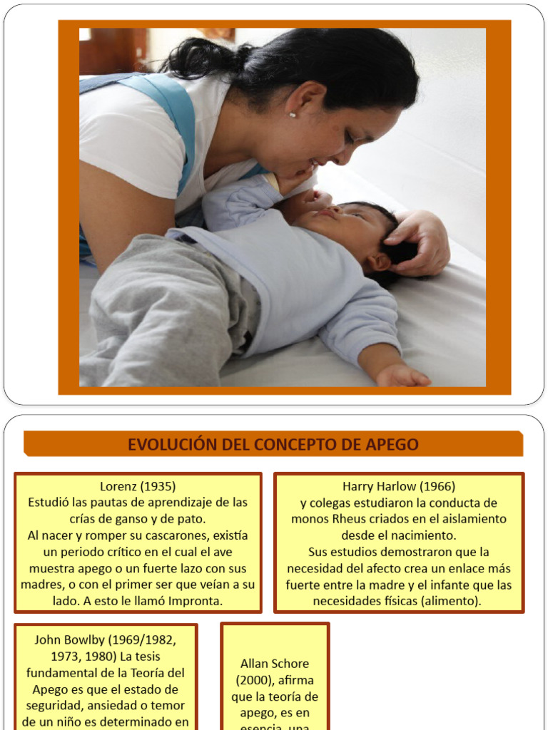 Presentación Apego | PDF | Teoría de apego | Desarrollo humano