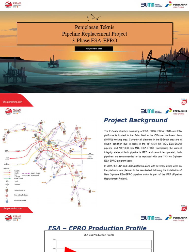 PRRP 3 Phase Esa Epro | PDF | Barrel (Unit) | Gases