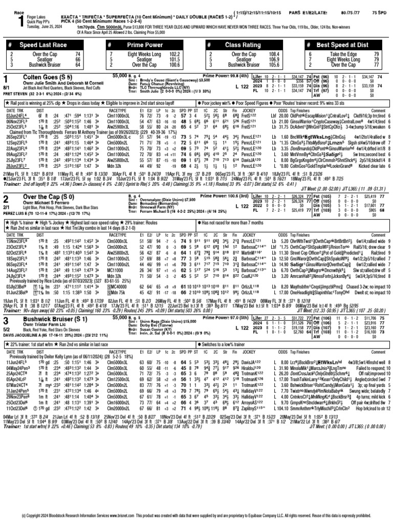 FLX 0625 QP | PDF | Horse Racing | Equestrian Sports