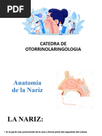 Nariz y senos paranasales | PDF | Nariz humana | Rinología